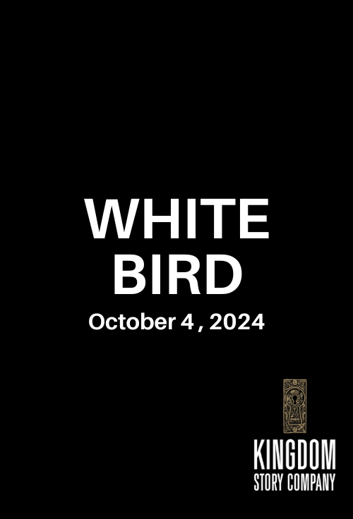 Faith Film Fan | New Releases