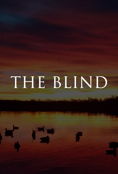 Faith Film Fan | New Releases